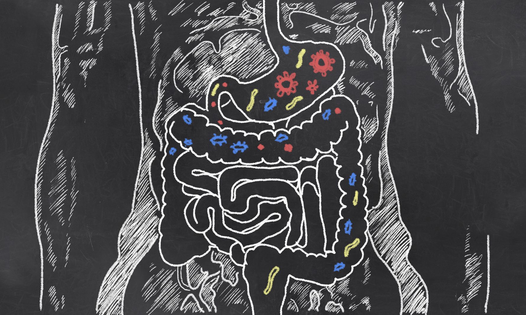 What Gut Bacteria Has to Do With Anxiety - How to Fix it Naturally