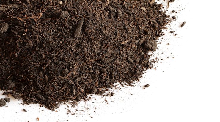 What Every Gardener Should Know When Using Poop In Their Garden