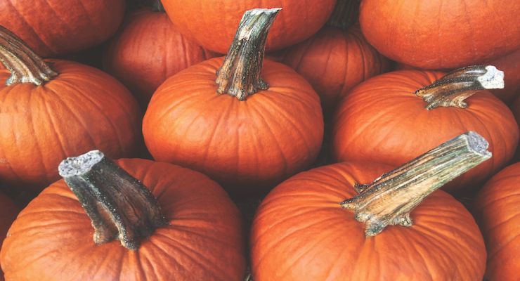 4 Benefits of Eating Pumpkin ( #3 Rocks)